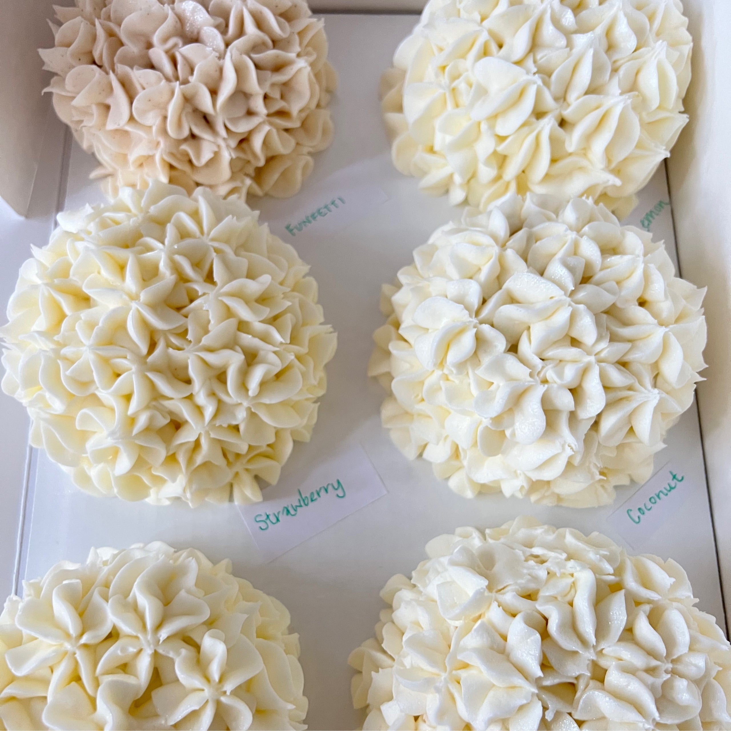 Cake Tasting Package | Primas Bakery + Boutique